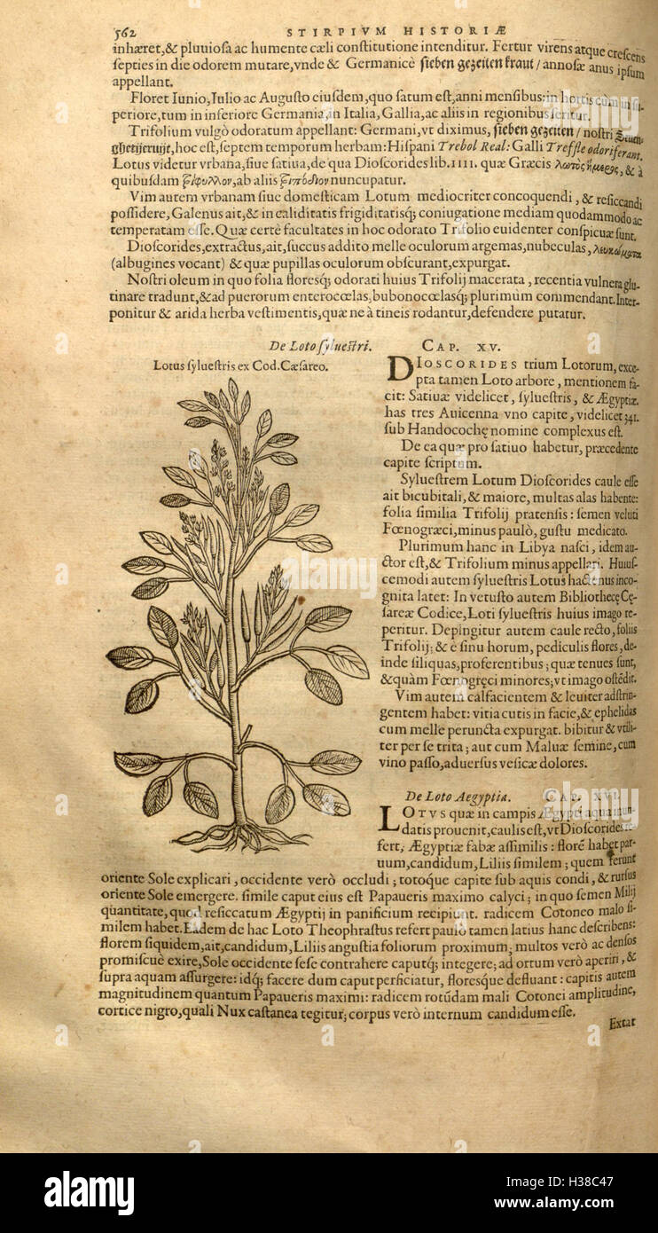 This botanical text covers the history and classification of plants ...