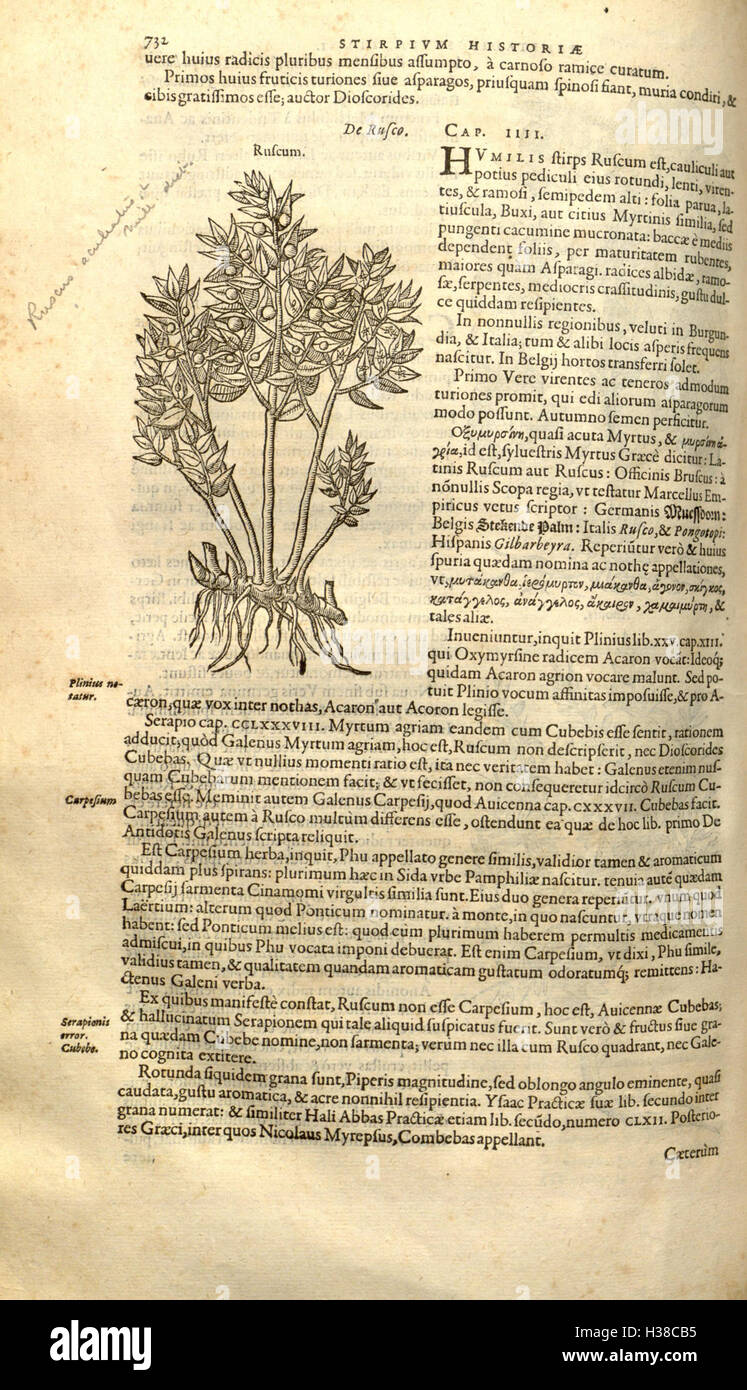 Work botanical history plants hi-res stock photography and images - Alamy