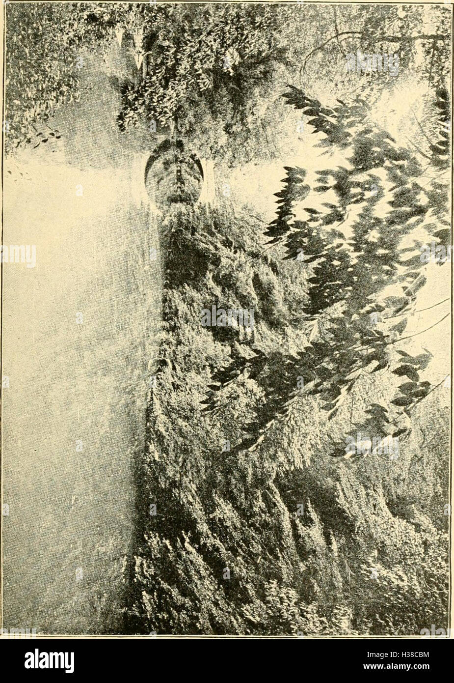 A history of the German Baptist Brethren in Europe and America (1899 ...