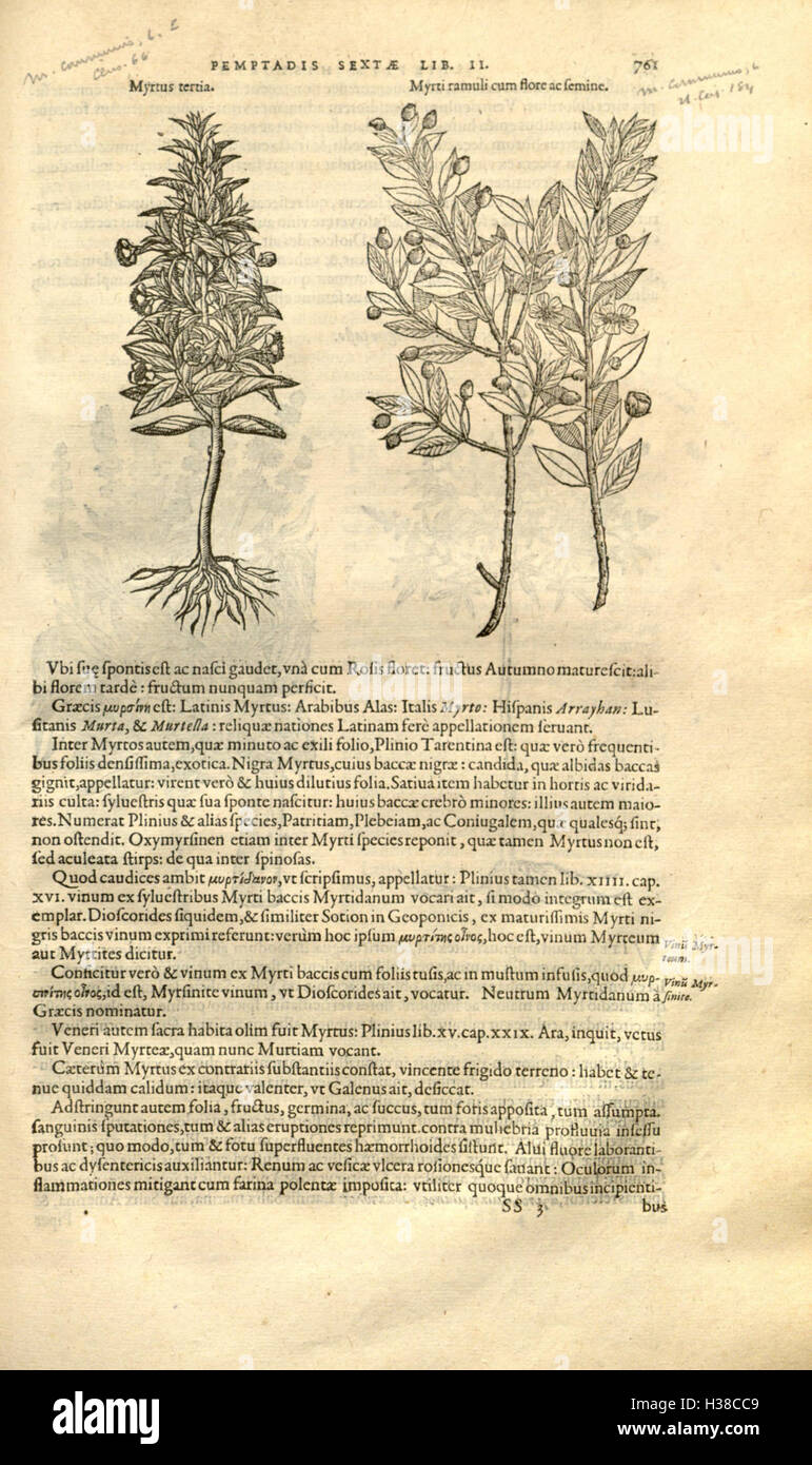 This work presents the history and classification of plants, with a ...