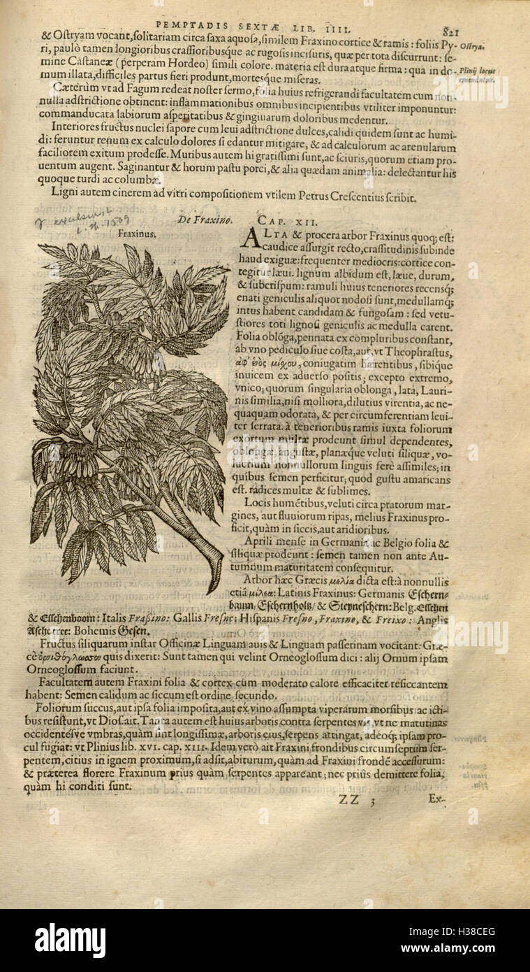 A botanical history describing the properties and classifications of ...