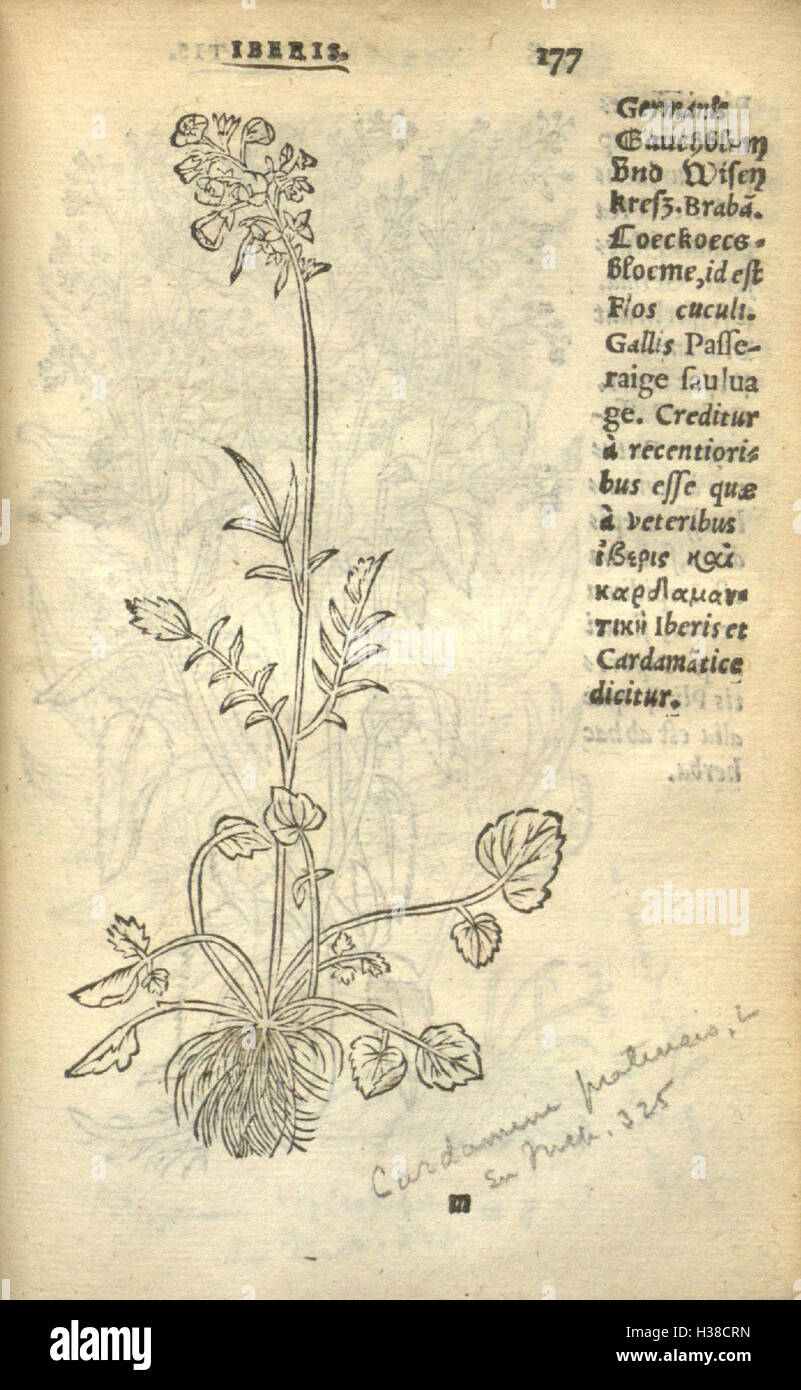 This work contains the images and commentaries on the history of plants ...