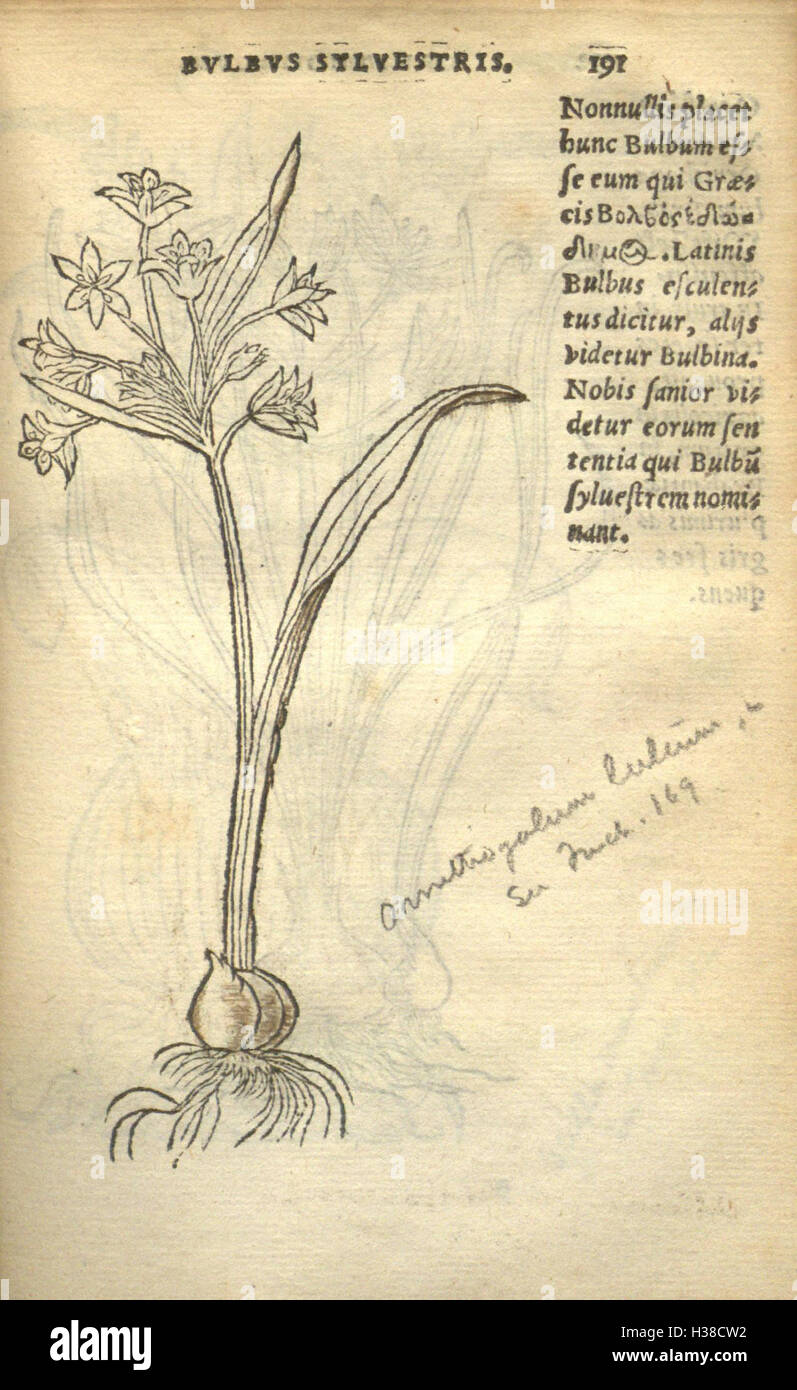 This botanical work presents images of plants, illustrating their ...