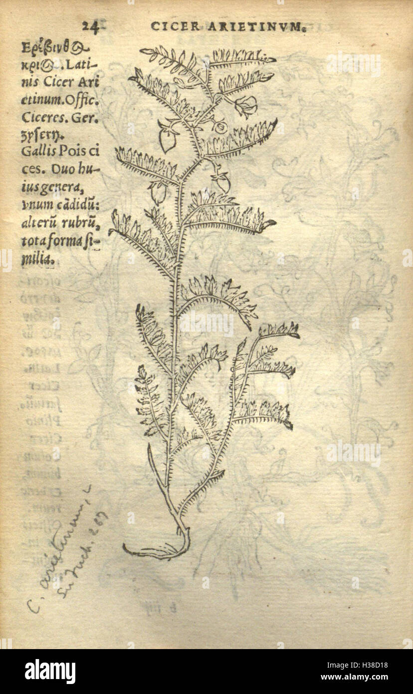 This botanical text features detailed illustrations of plant species ...