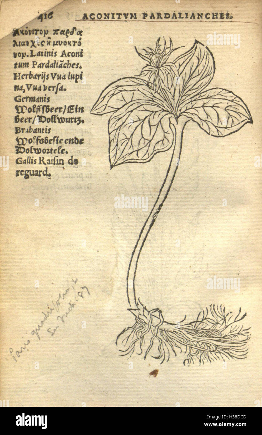 A botanical work presenting detailed images and descriptions of plant ...