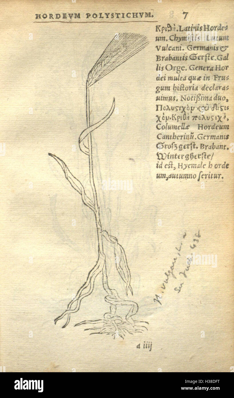 This book focuses on the botanical history and illustrations of plants ...