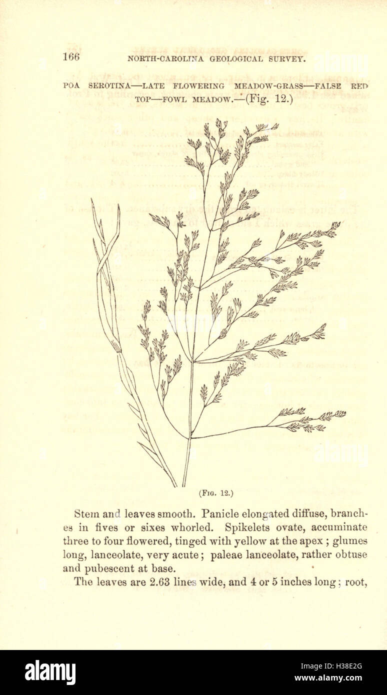 Report of the North Carolina geological survey (Page 166) BHL175 Stock ...
