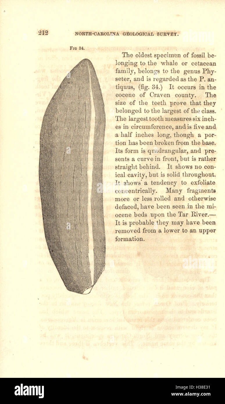 This report presents the findings of the North Carolina Geological ...