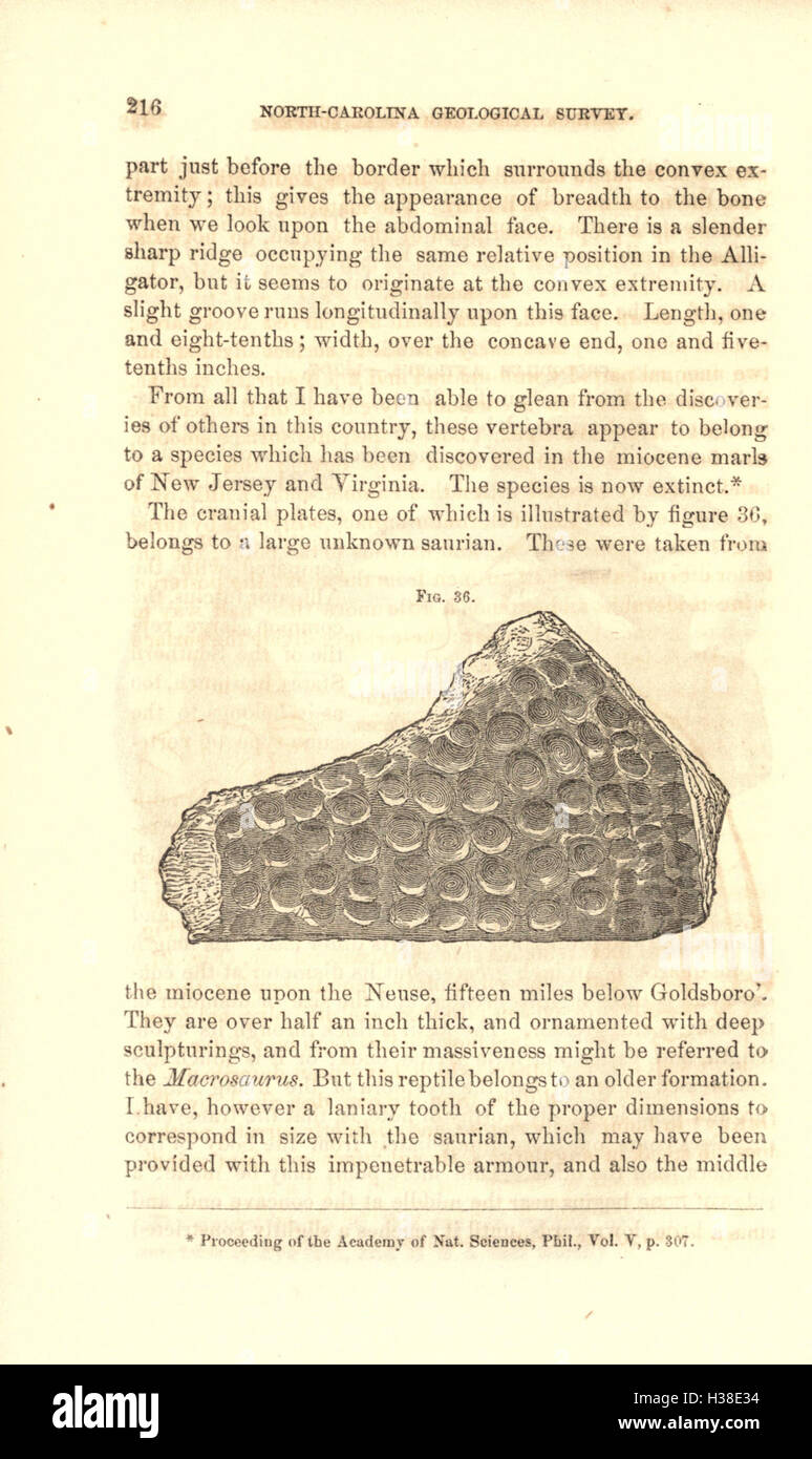 This report provides an overview of the geological survey conducted in ...