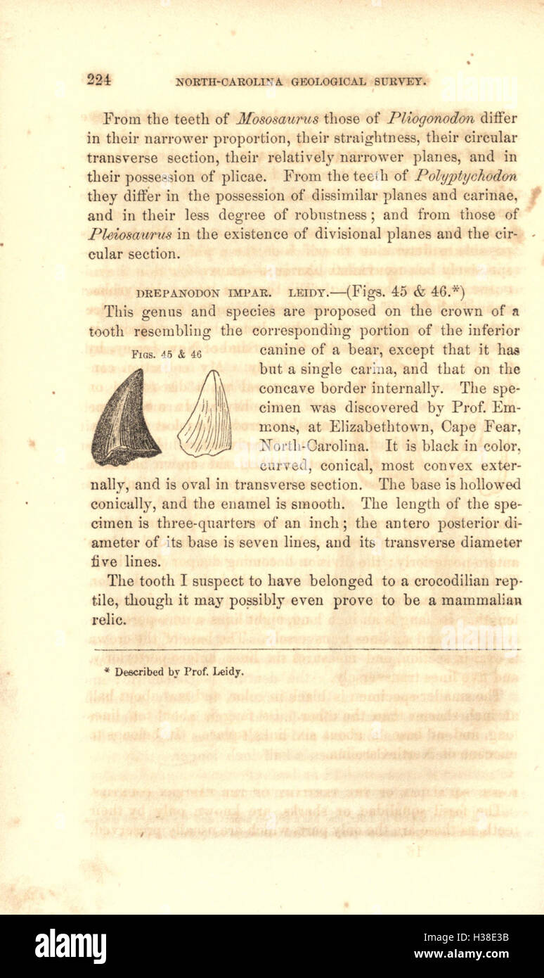 This report details the findings of the North Carolina geological ...