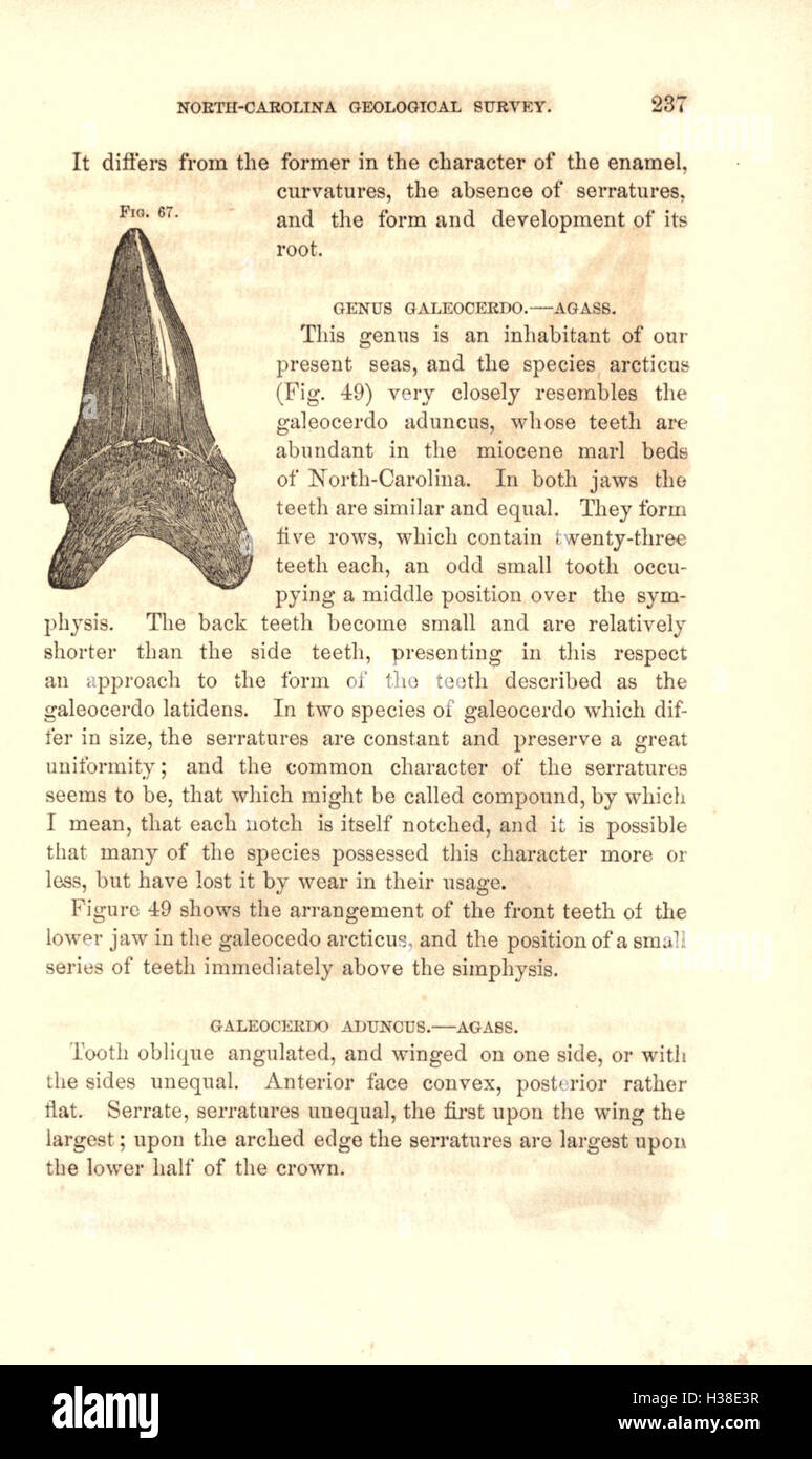Report of the North Carolina geological survey (Page 237) BHL175 Stock ...