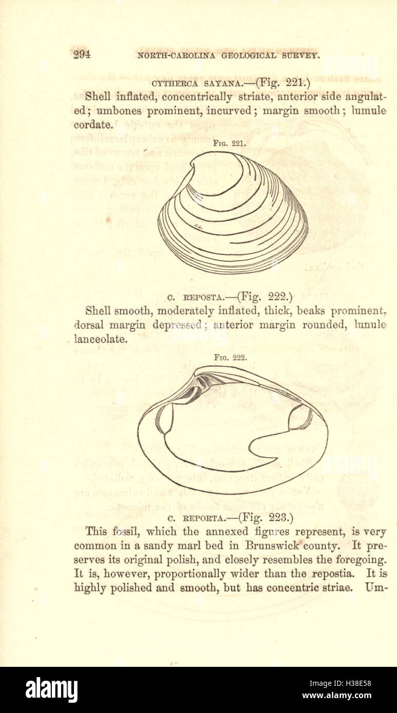 This report presents the findings of the North Carolina Geological ...