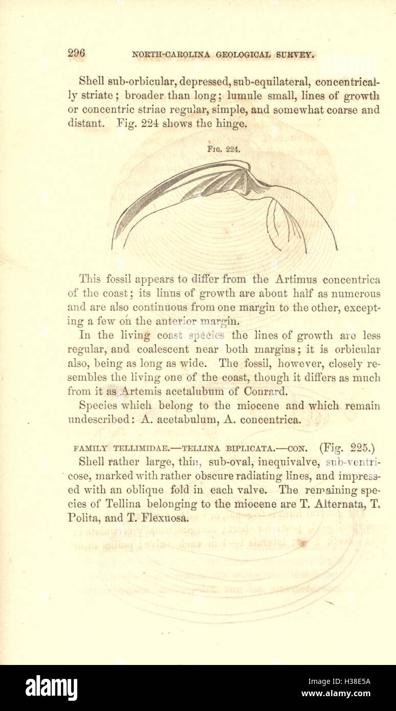 296 pages hi-res stock photography and images - Alamy