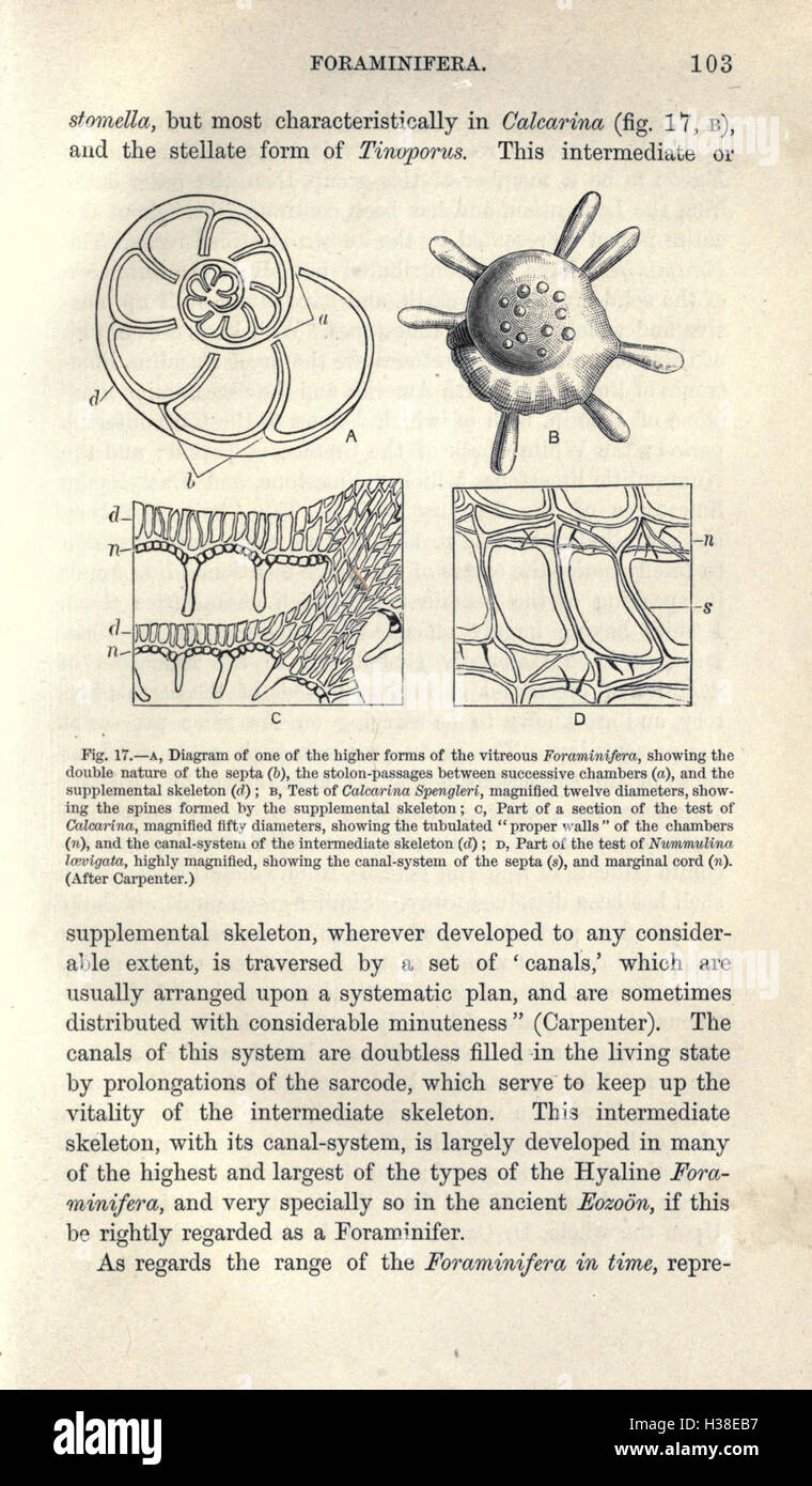 This manual serves as an introduction to paleontology, focusing on the ...
