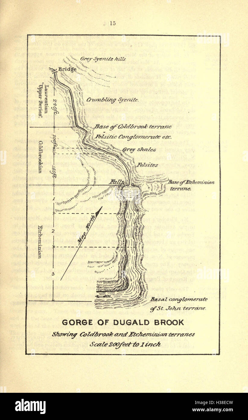 This report discusses the Cambrian rocks of Cape Breton, examining ...