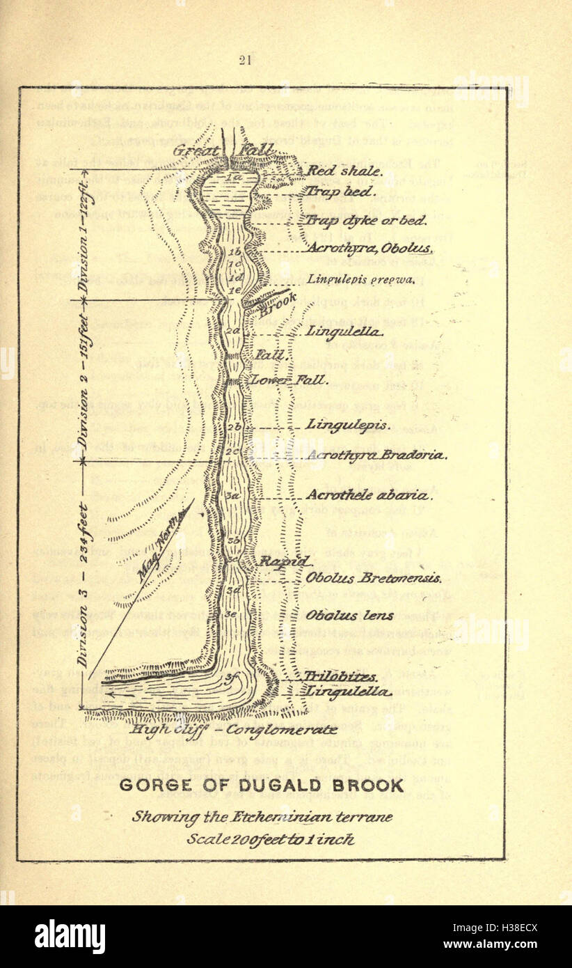 A report on the Cambrian rock formations of Cape Breton, detailing ...