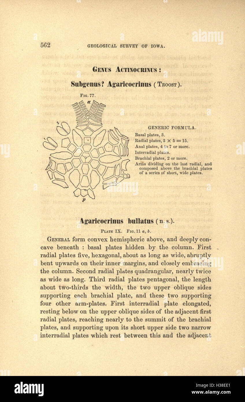 This geological survey report provides an in-depth analysis of Iowa's ...