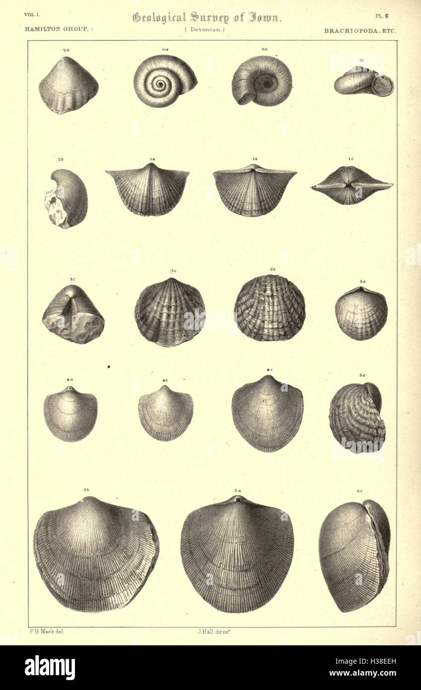 This report provides an overview of Iowa's geological features ...