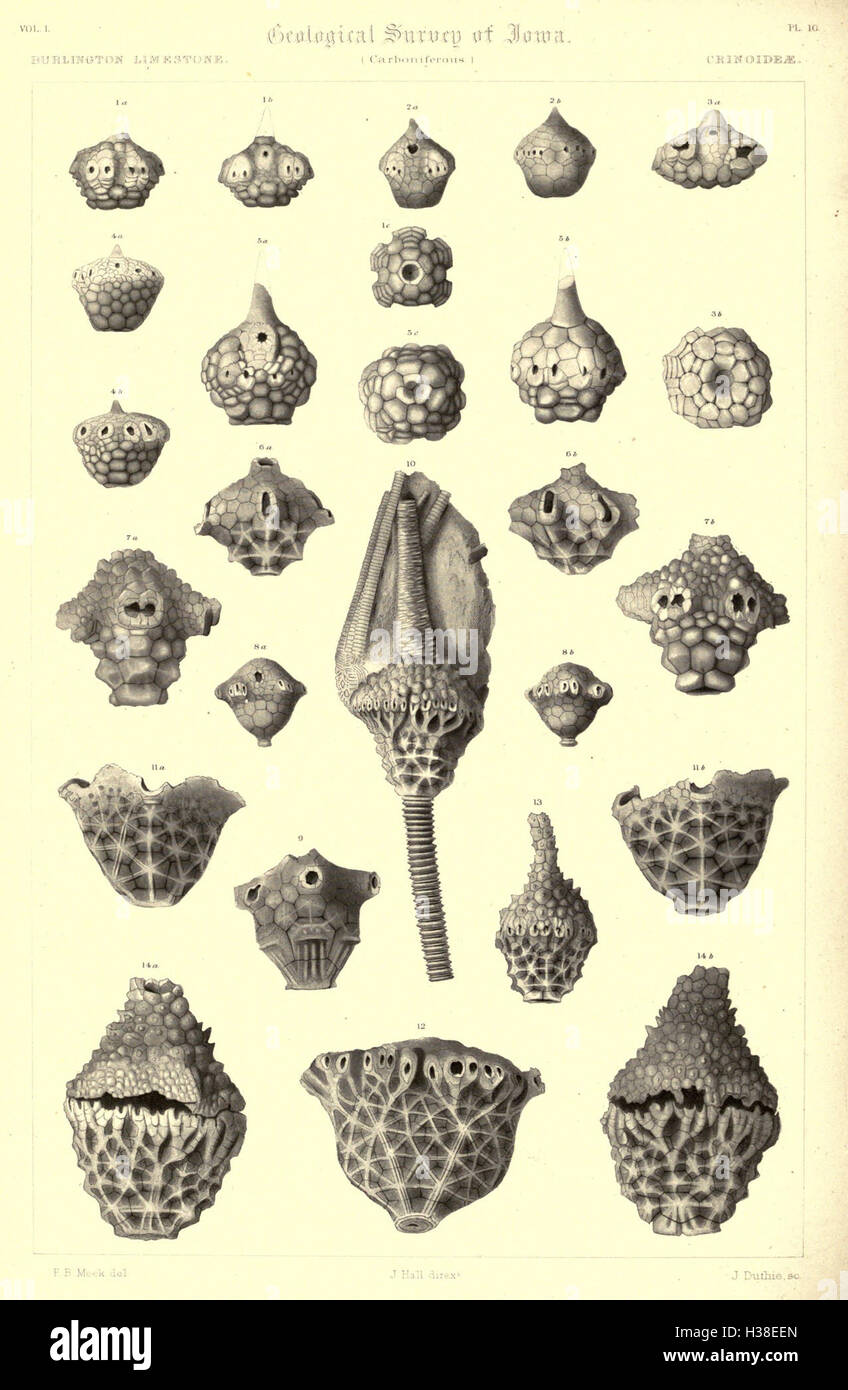 This 1858 report presents the findings of geological investigations ...