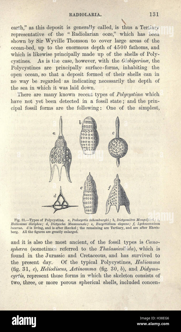 This manual provides a detailed introduction to the study of fossils ...