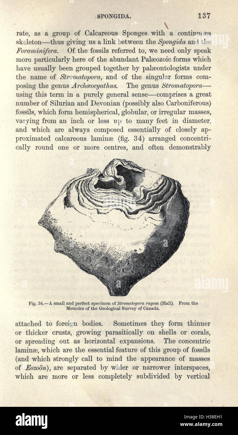 This manual provides an in-depth introduction to paleontology, offering ...