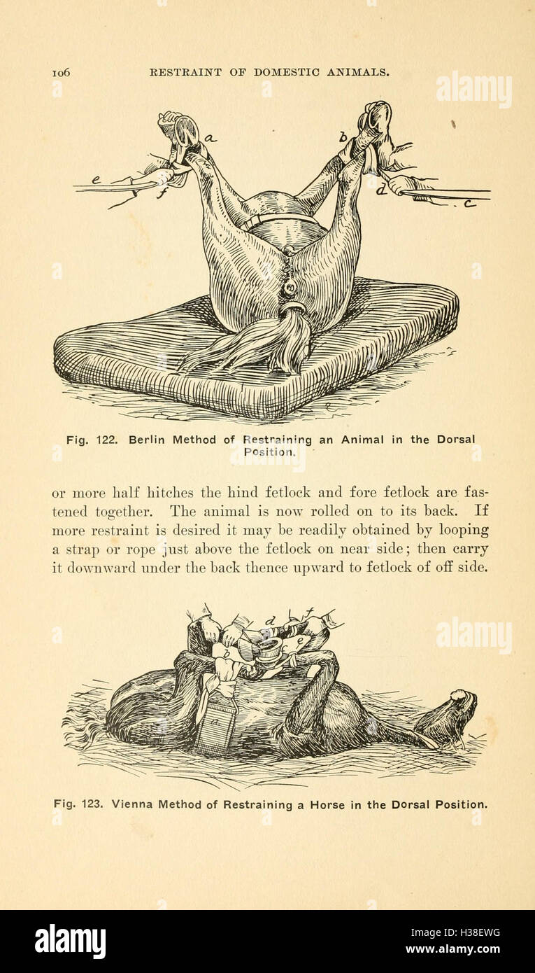 This page discusses methods for the restraint of domestic animals ...