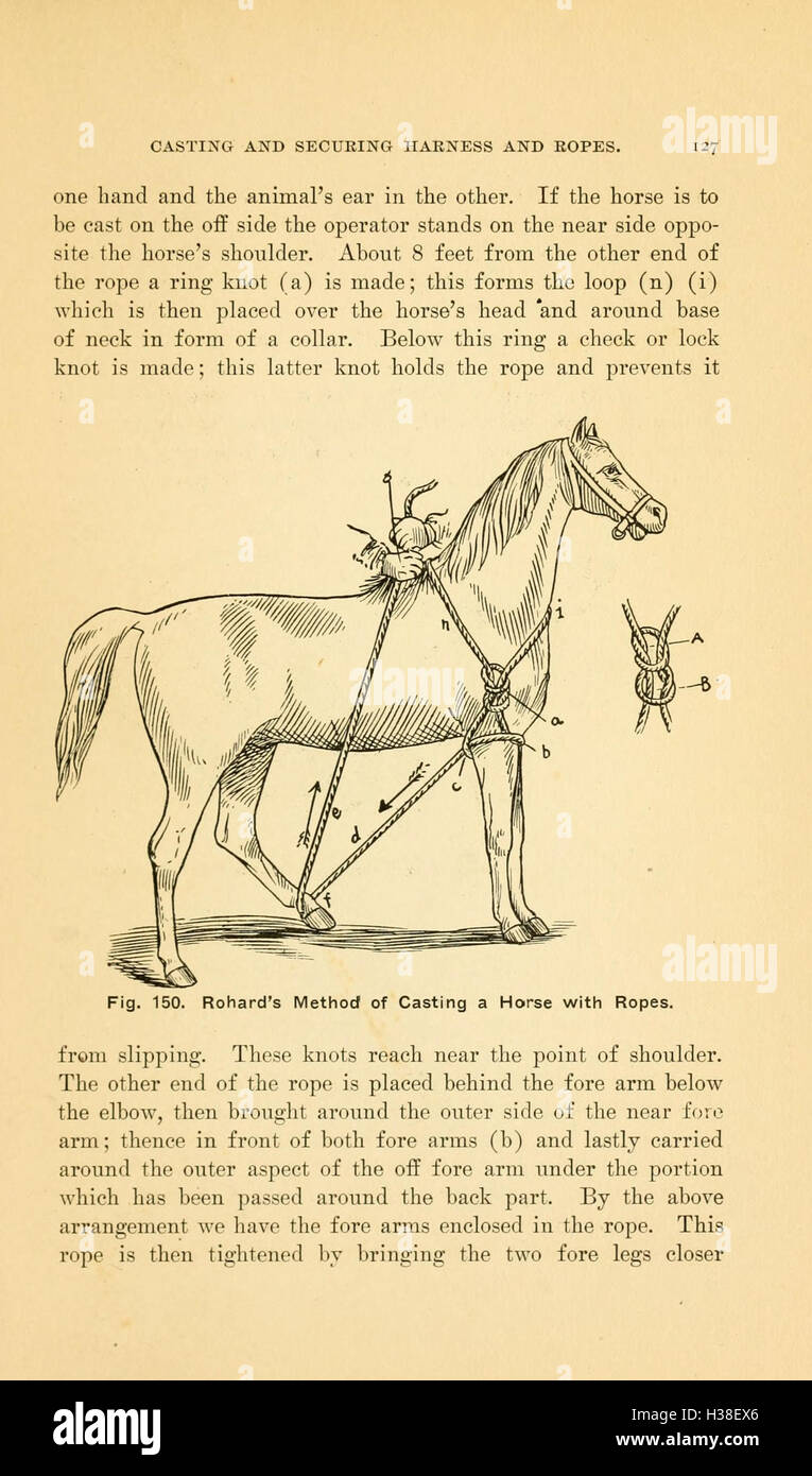This page covers methods and techniques for the restraint and safe ...