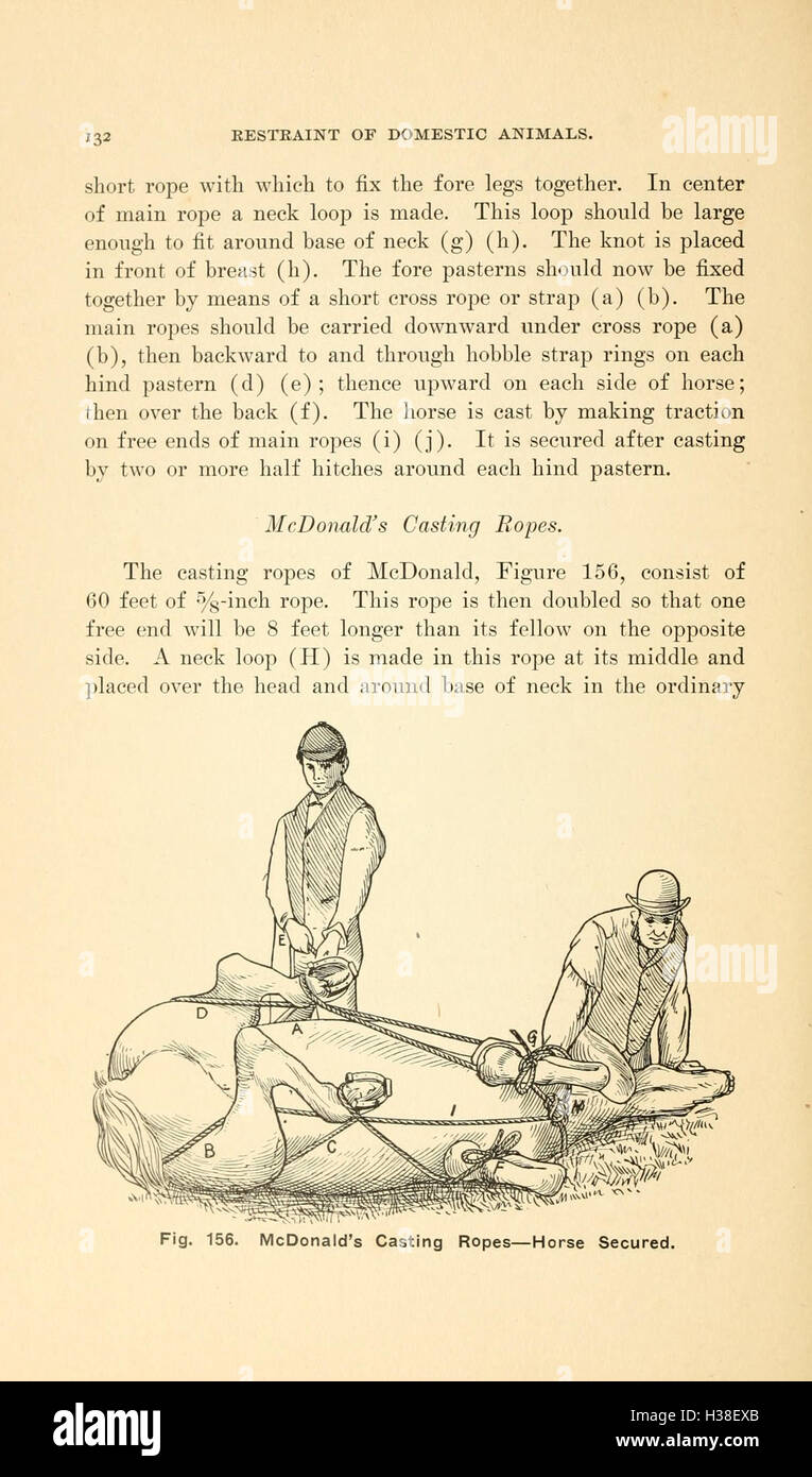 This work examines humane methods of restraining domestic animals ...