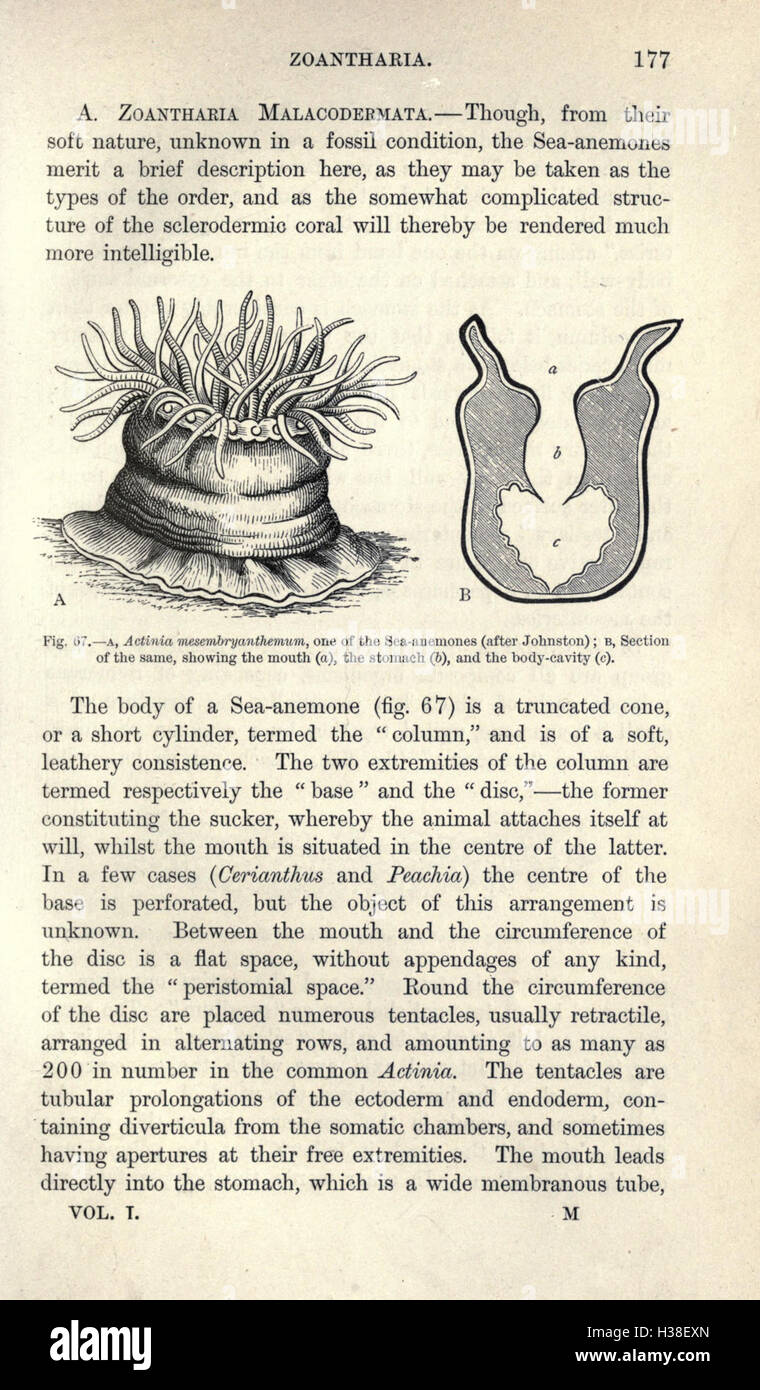 A guide to palaeontology, covering the principles of fossil ...