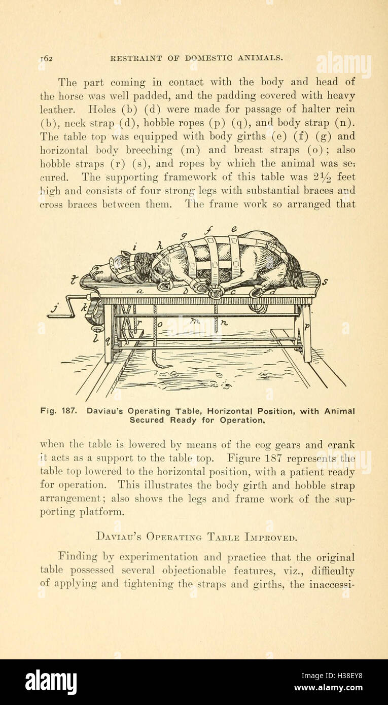 A detailed guide discussing the methods and practices for restraining ...