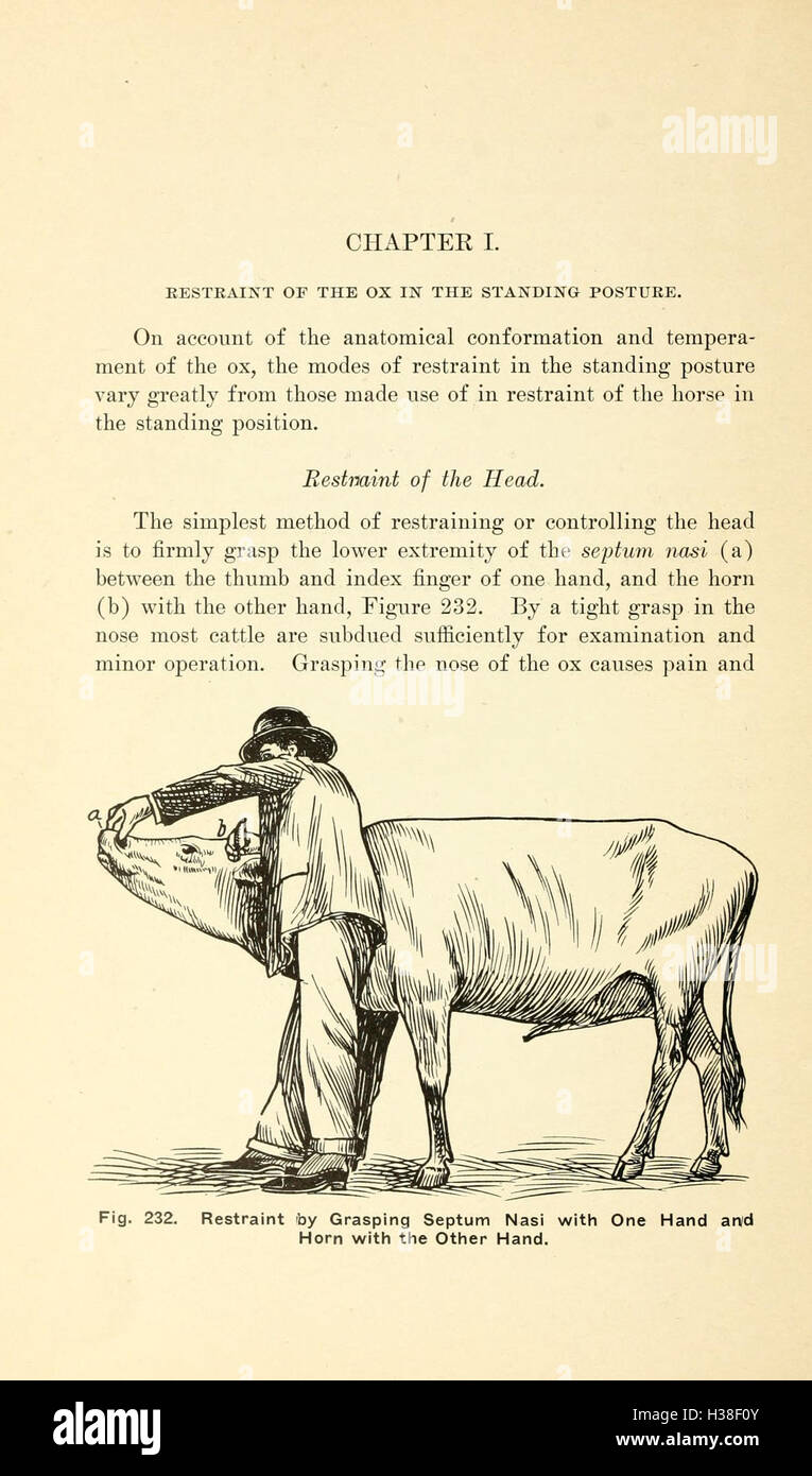 This page covers methods and techniques for restraining domestic ...