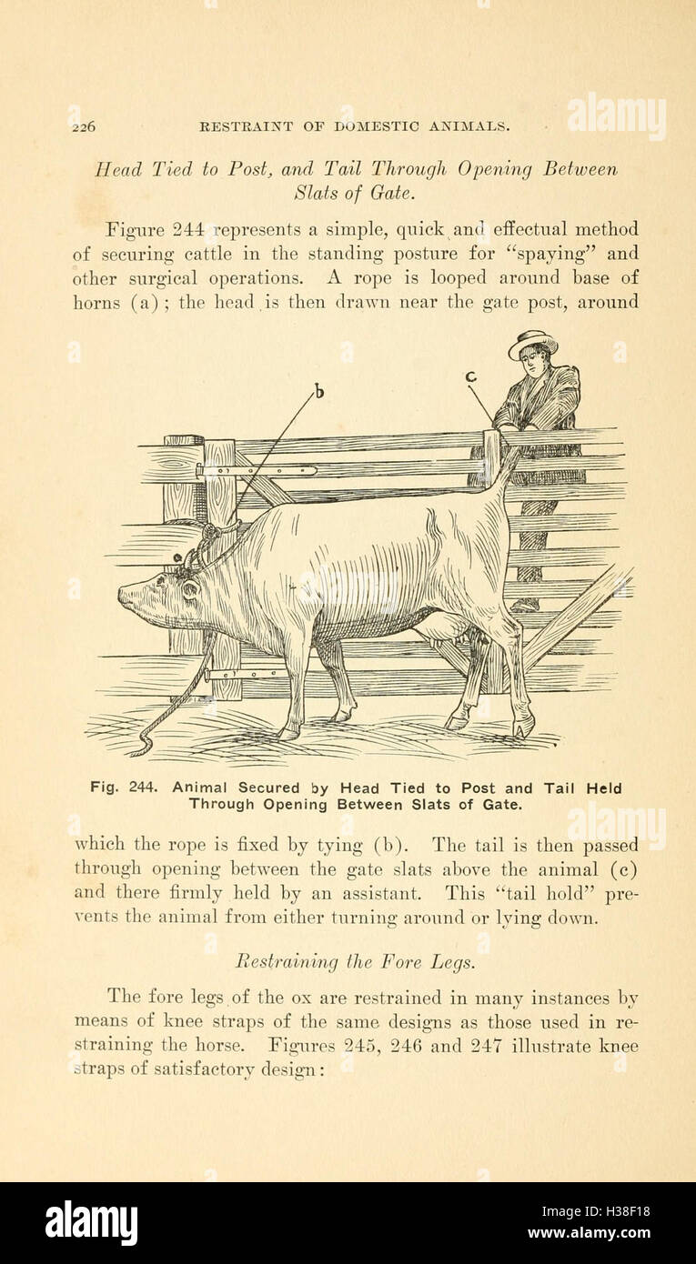 This guide provides methods for the safe restraint of domestic animals ...