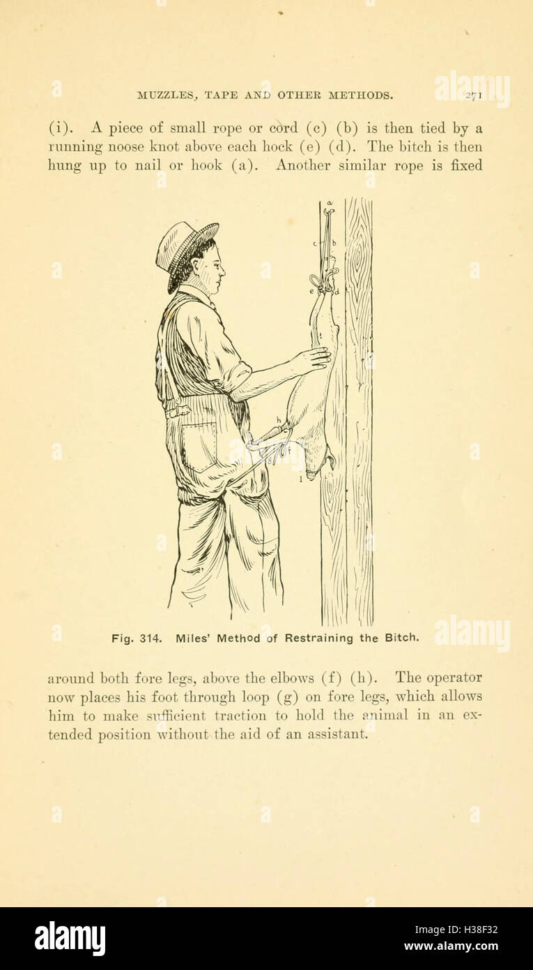 This work examines the methods and techniques for safely restraining ...