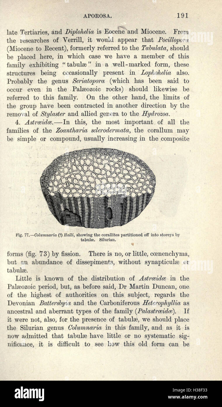 Importance of fossils in understanding hi-res stock photography and ...