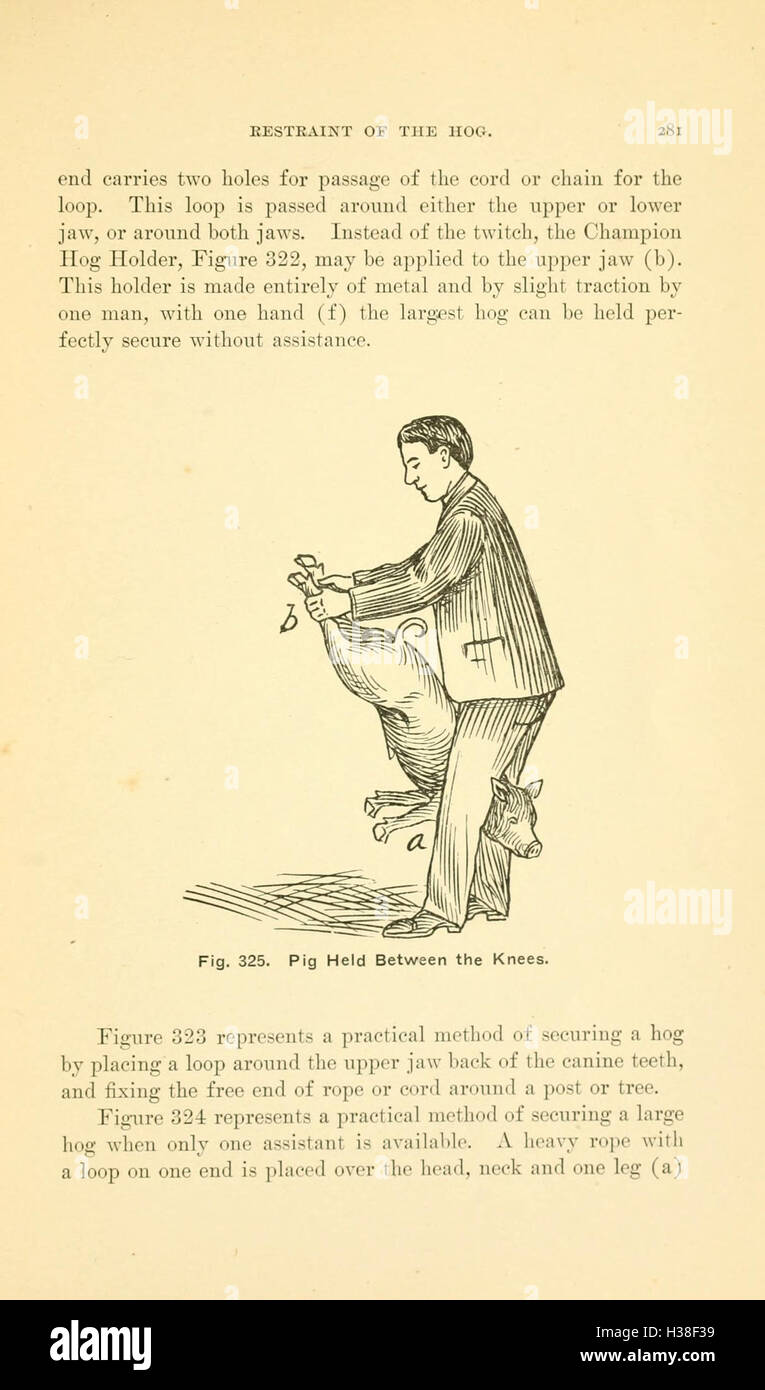 This text covers techniques for safely restraining domestic animals ...