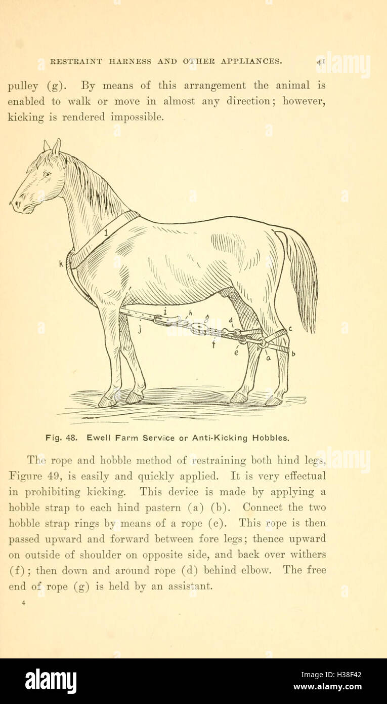 Restraint of domestic animals (Page 41) BHL205 Stock Photo - Alamy