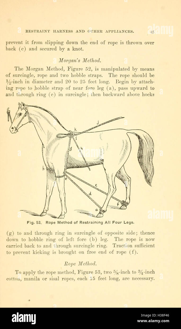 Work focusing on methods hi-res stock photography and images - Alamy