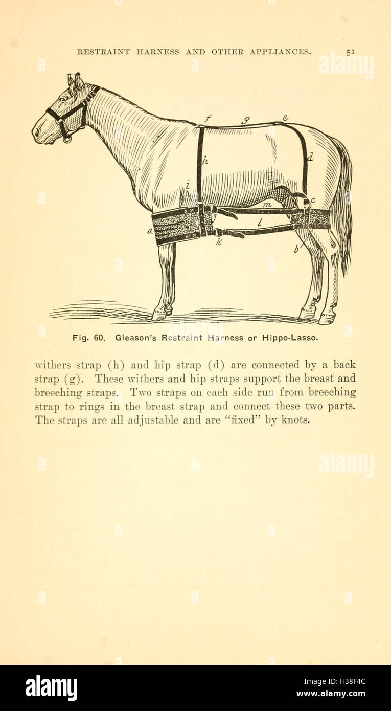 A study on the practices and techniques for restraining domestic ...