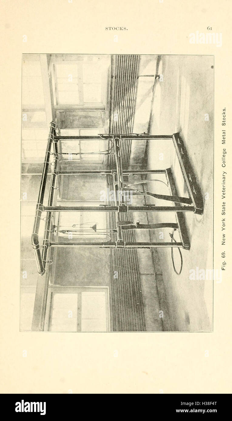 This page discusses methods for restraining domestic animals, focusing ...