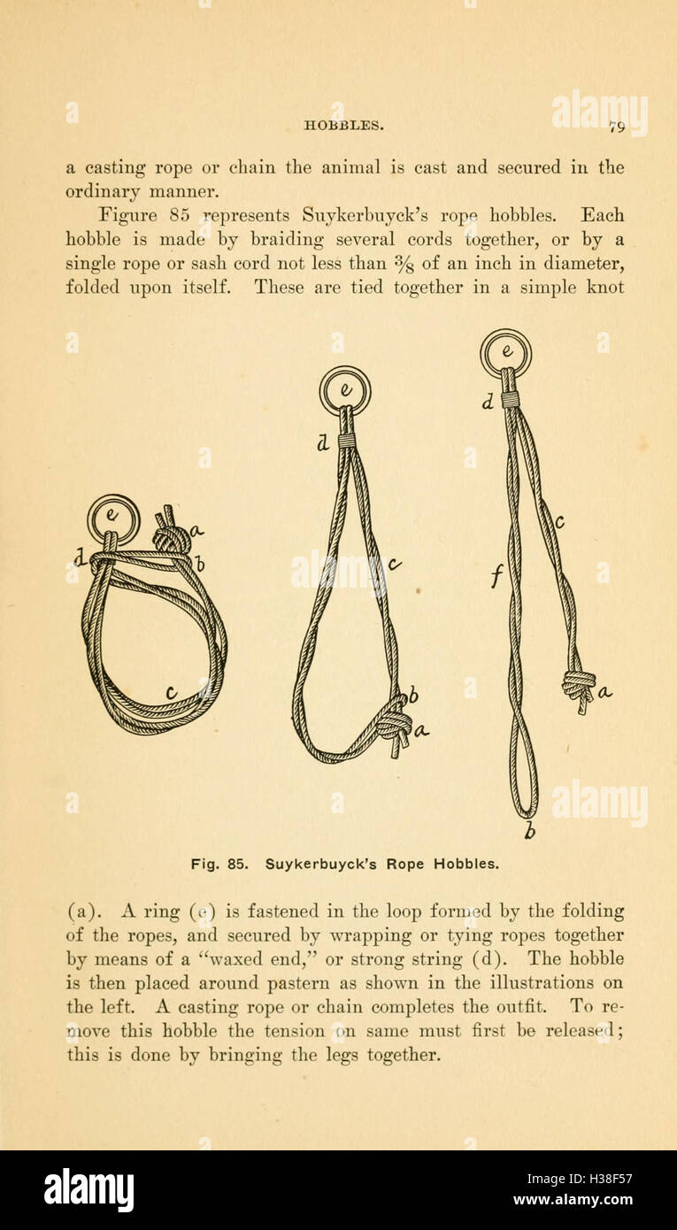 This work discusses methods for safely and effectively restraining ...