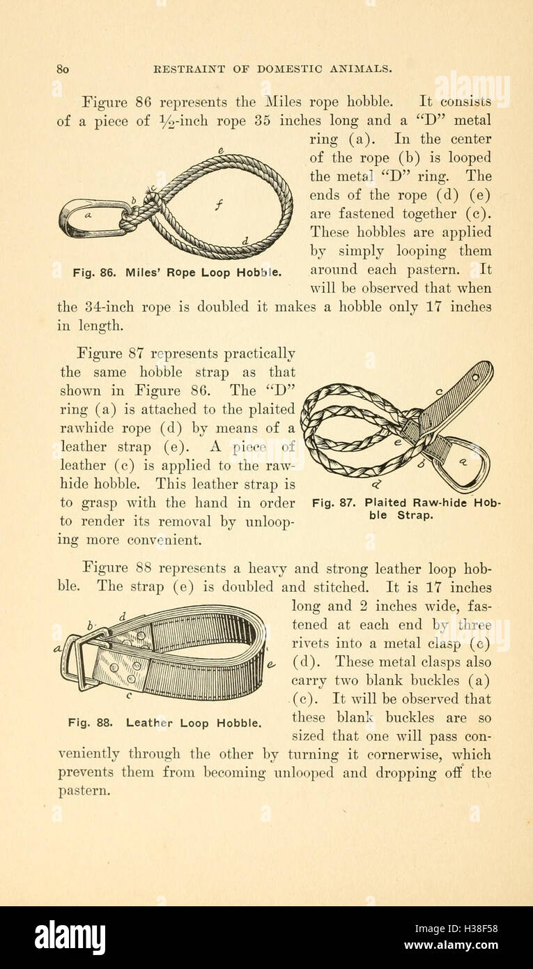 This page addresses the proper techniques for restraining domestic ...