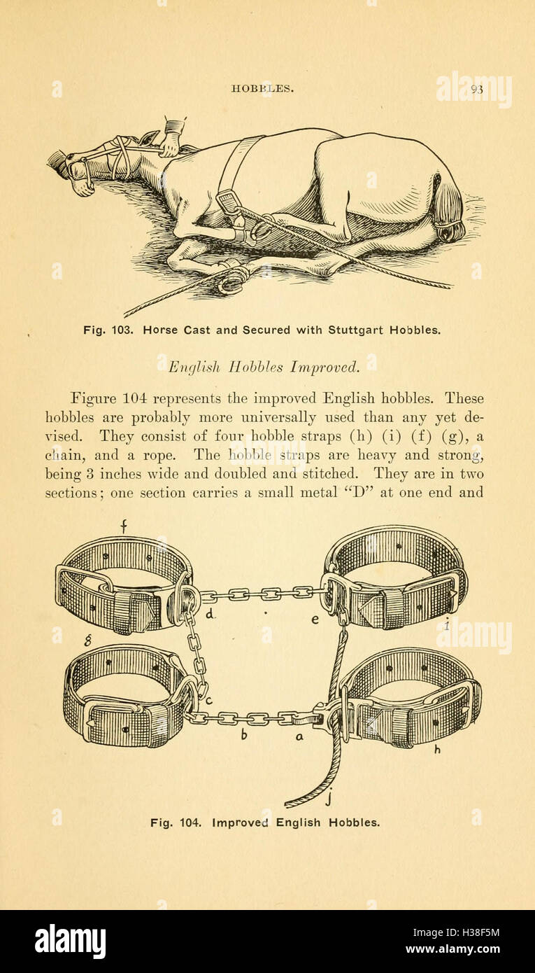 This page discusses various methods of safely restraining domestic ...