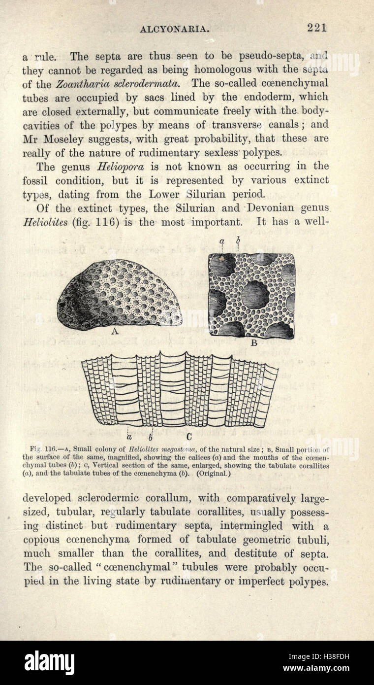 This manual serves as an introductory guide to paleontology, covering ...