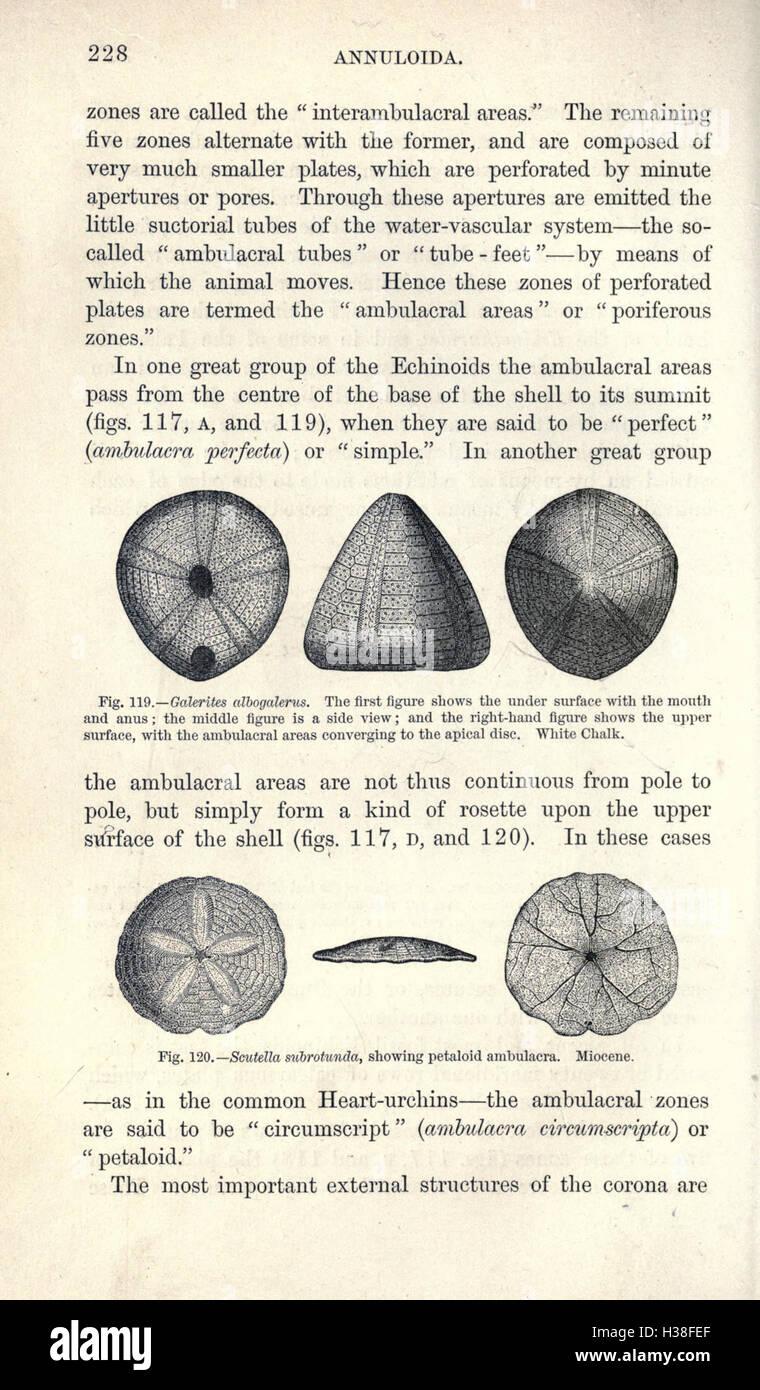 This manual offers a comprehensive overview of paleontology, focusing ...