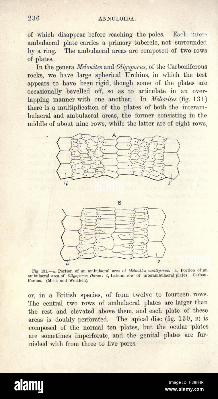This page provides an in-depth manual of paleontology, detailing the ...