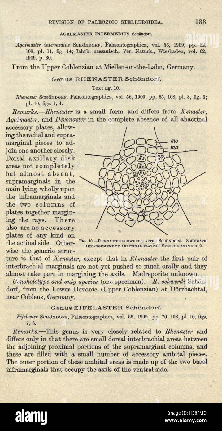 This revision focuses on the study of Paleozoic Stelleroidea, a group ...