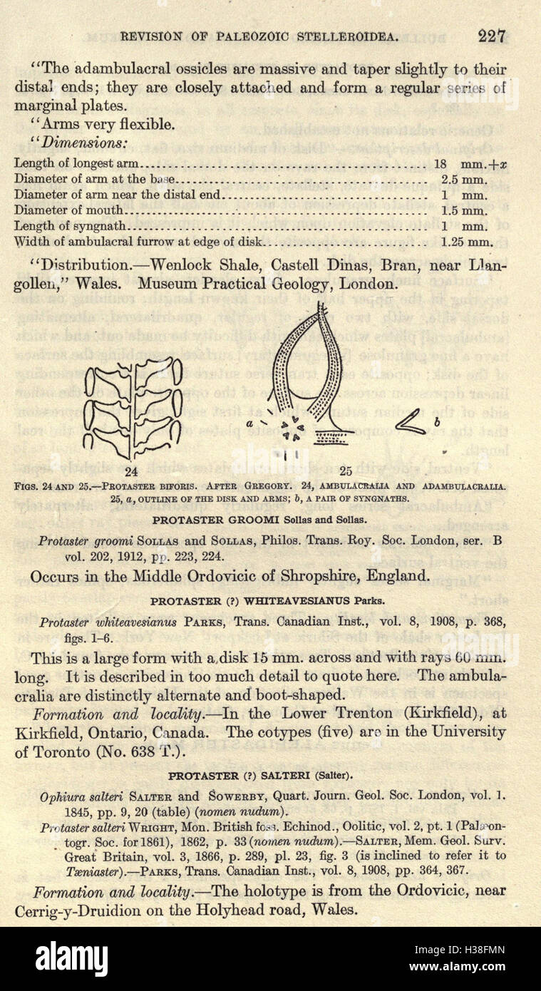 A revision of the Paleozoic Stelleroidea class, examining the evolution ...