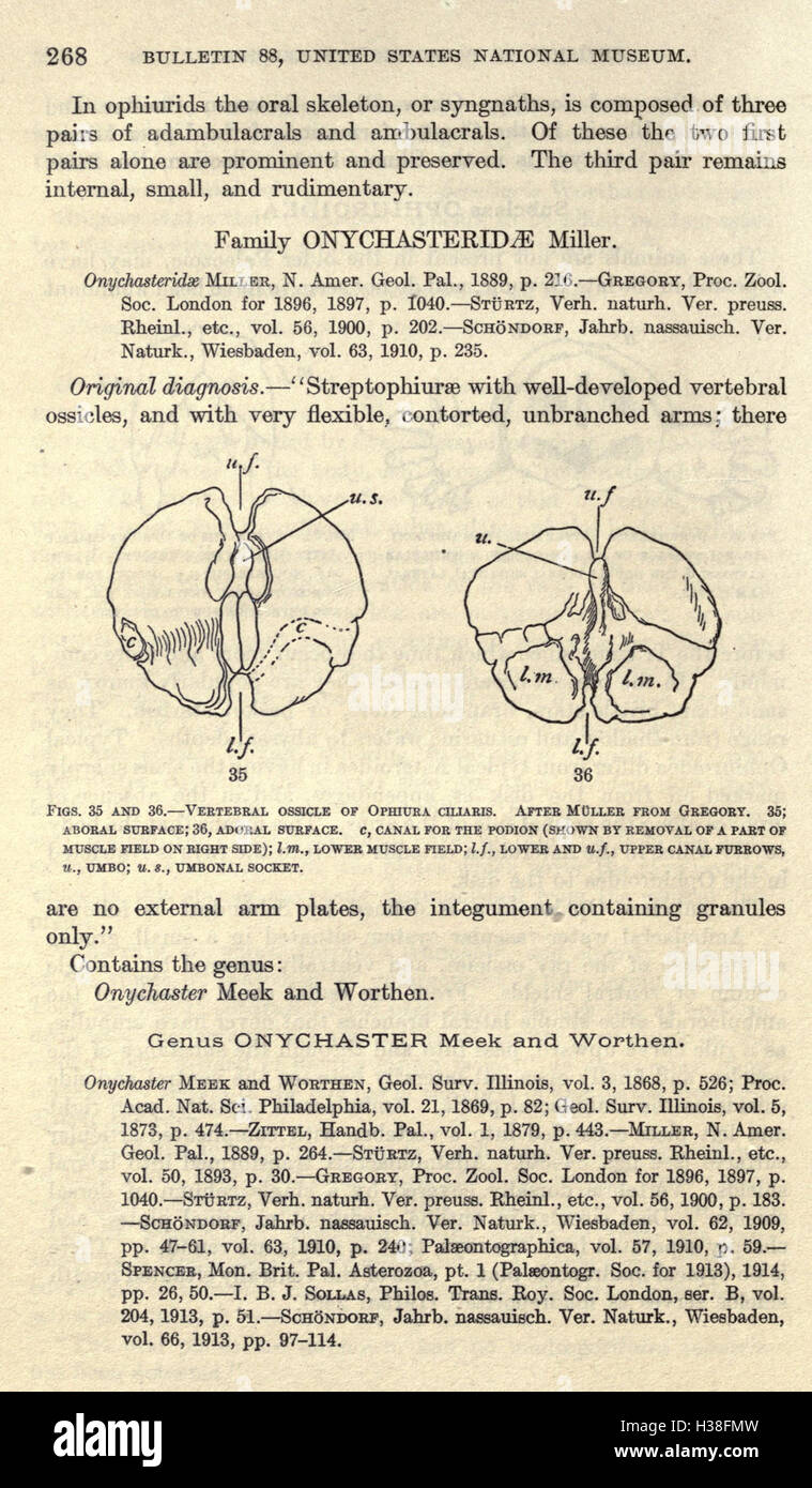 A revision of the Paleozoic era Stelleroidea, a class of echinoderms ...