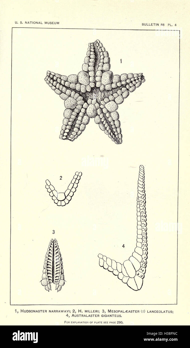 Taxonomic changes hi-res stock photography and images - Alamy