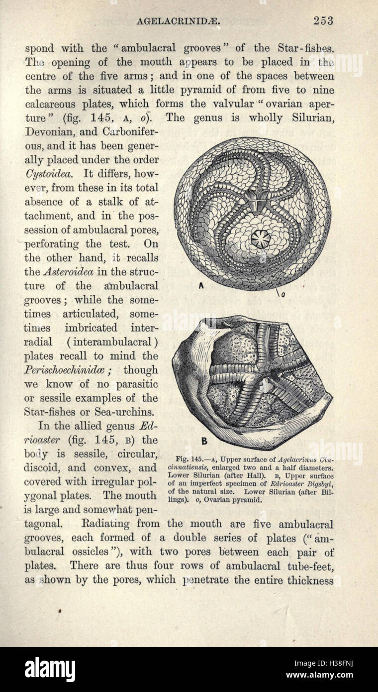 This manual provides an in-depth guide to paleontology, focusing on ...